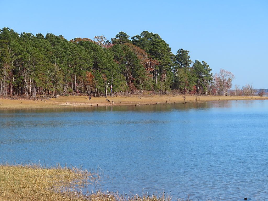 1749 Needmore Rd, Bronson, TX 75930 | Zillow