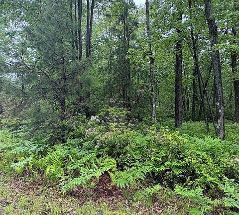 0 East Rd, Clarence, PA 16829 | MLS #PACE2515092 | Zillow