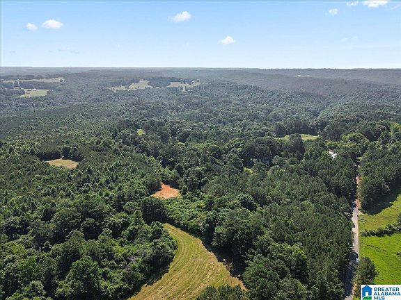 0 County Road 992 11 0 #19-01-006.000, Logan, AL 35098 | Zillow