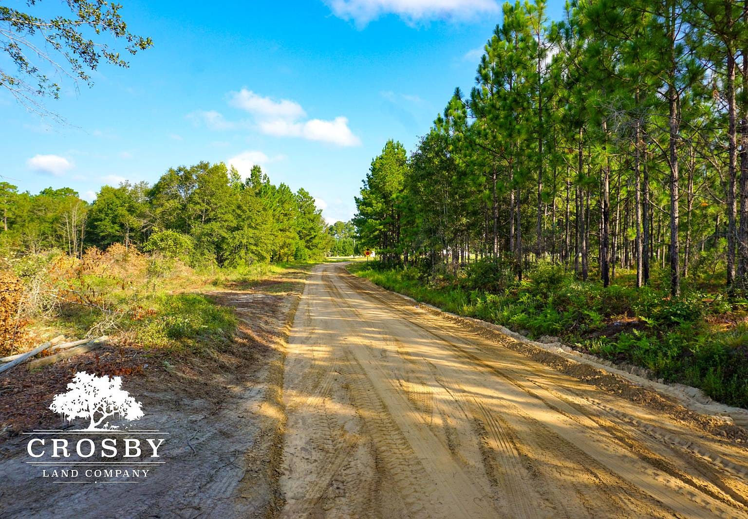 3 McRae Hwy, Chauncey, GA 31011 | MLS #11479864 | Zillow