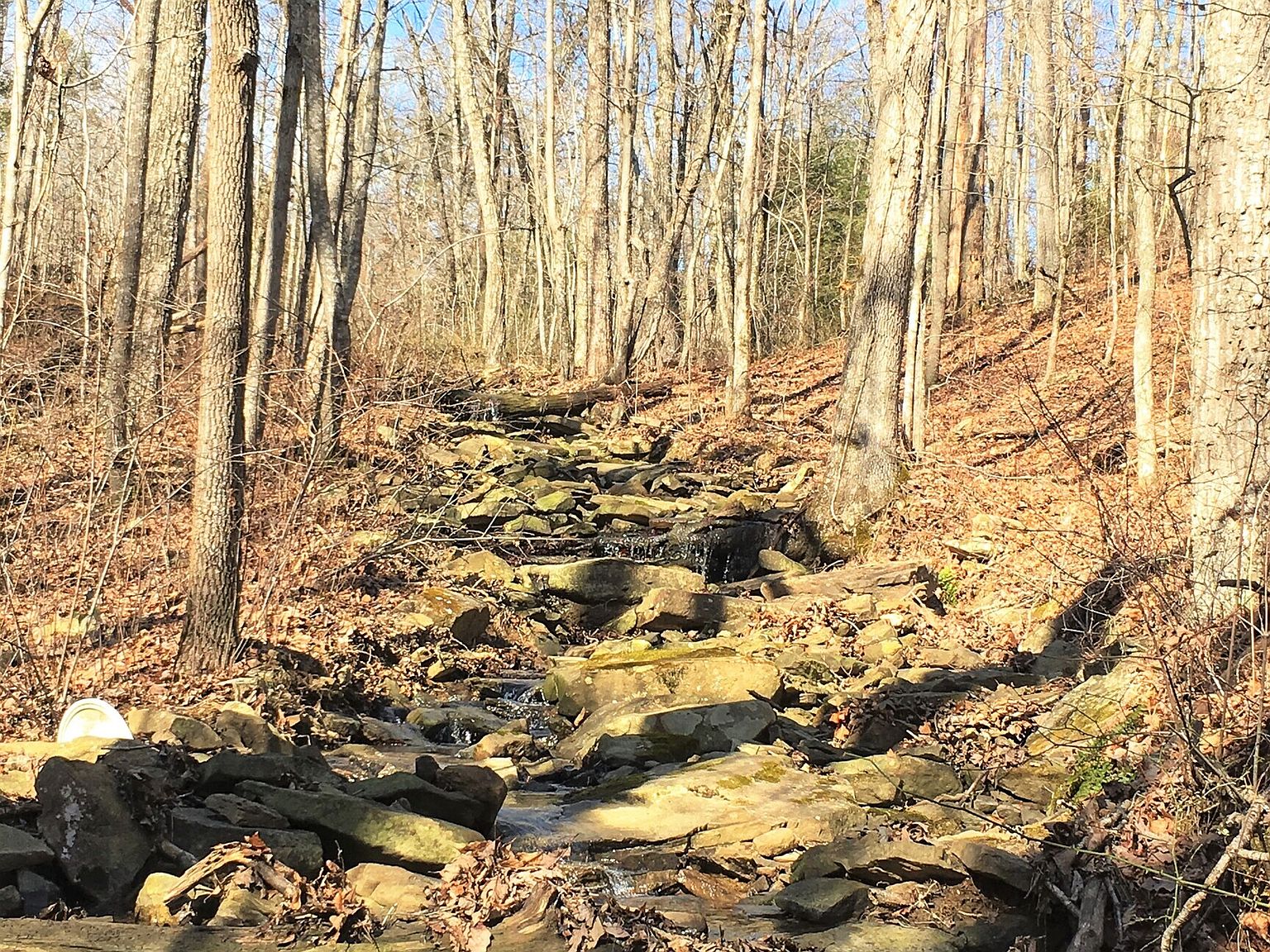 0 Welch Rd, Graysville, TN 37338 | MLS #10544444 | Zillow