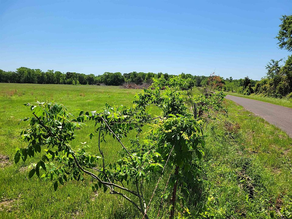 LOT 5 County Road 2389, Alba, TX 75410 | Zillow