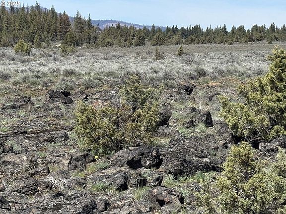 Oregon Pines Rd #1200, Beatty, OR 97621 | MLS #591865836 | Zillow