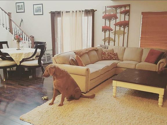 1065 Adams Run Ct, Henderson, NV 89002 | Zillow