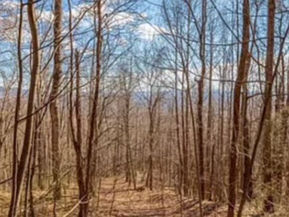 0 Wilderness Rd, Bland, VA 24315 | MLS #92563 | Zillow