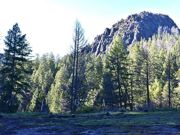 12011 Ruth Zenia Rd, Zenia, CA 95595 | MLS #2112137 | Zillow