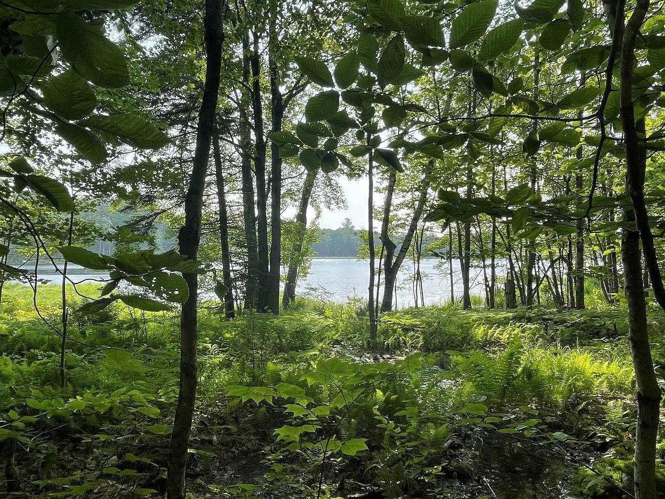 0 Off N.Hidden Lake Road, Stoddard, NH 03464 | Zillow