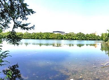 80 Red River St APT 110, Austin, TX 78701 | Zillow