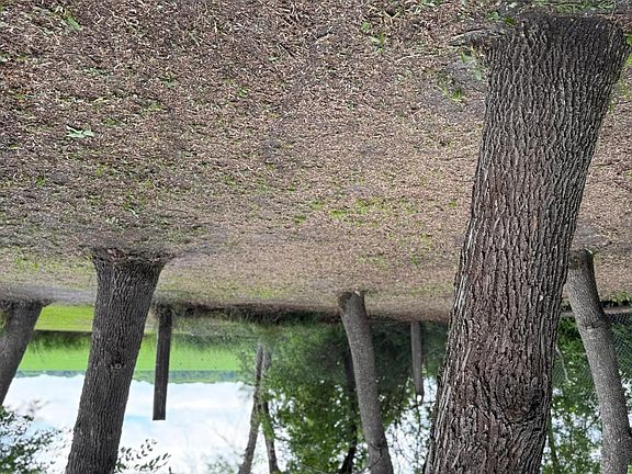 (Undisclosed Address), Sabin, MN 56580 | MLS #6739075 | Zillow