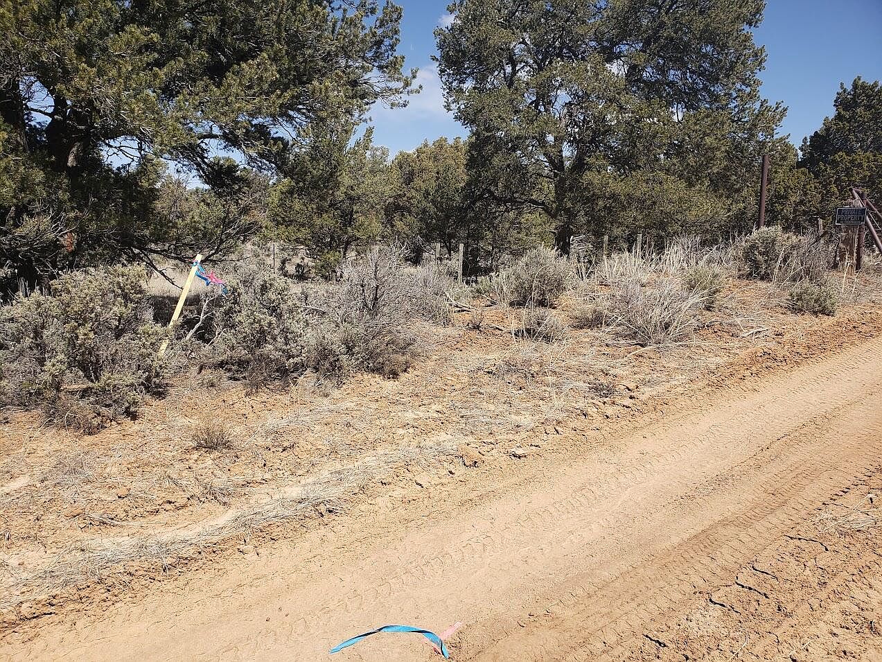State Highway 595, Lindrith, NM 87029 | Zillow
