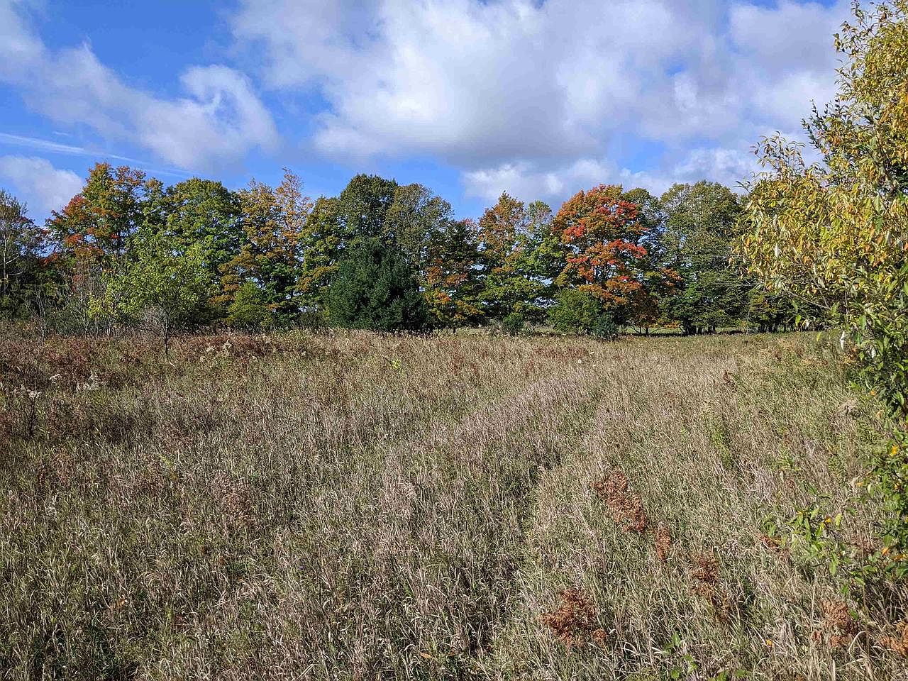Wild Nest Road, Fish Creek, WI 54212 | Zillow