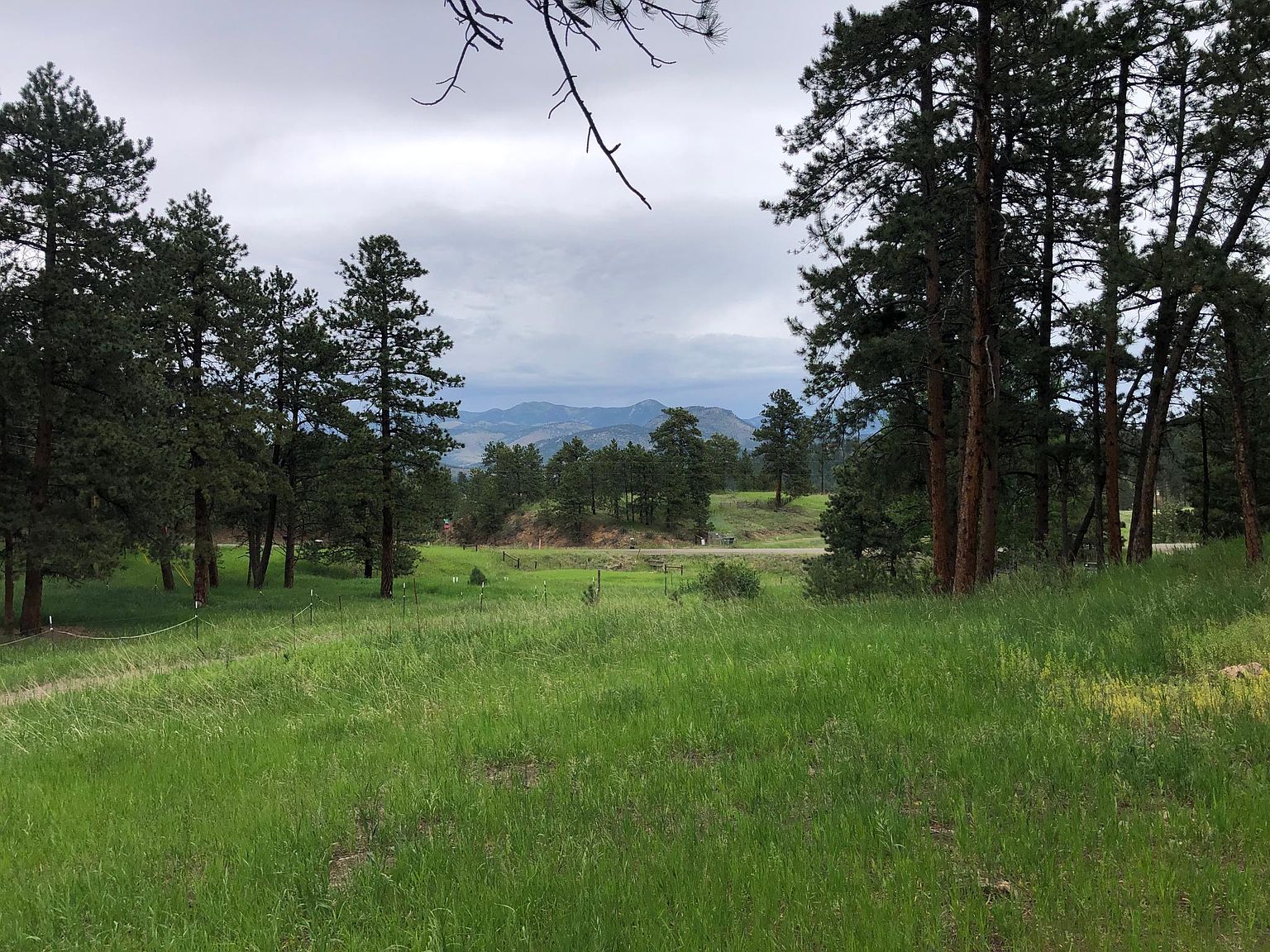 29664 Ruby Ranch Rd, Evergreen, CO 80439 | Zillow
