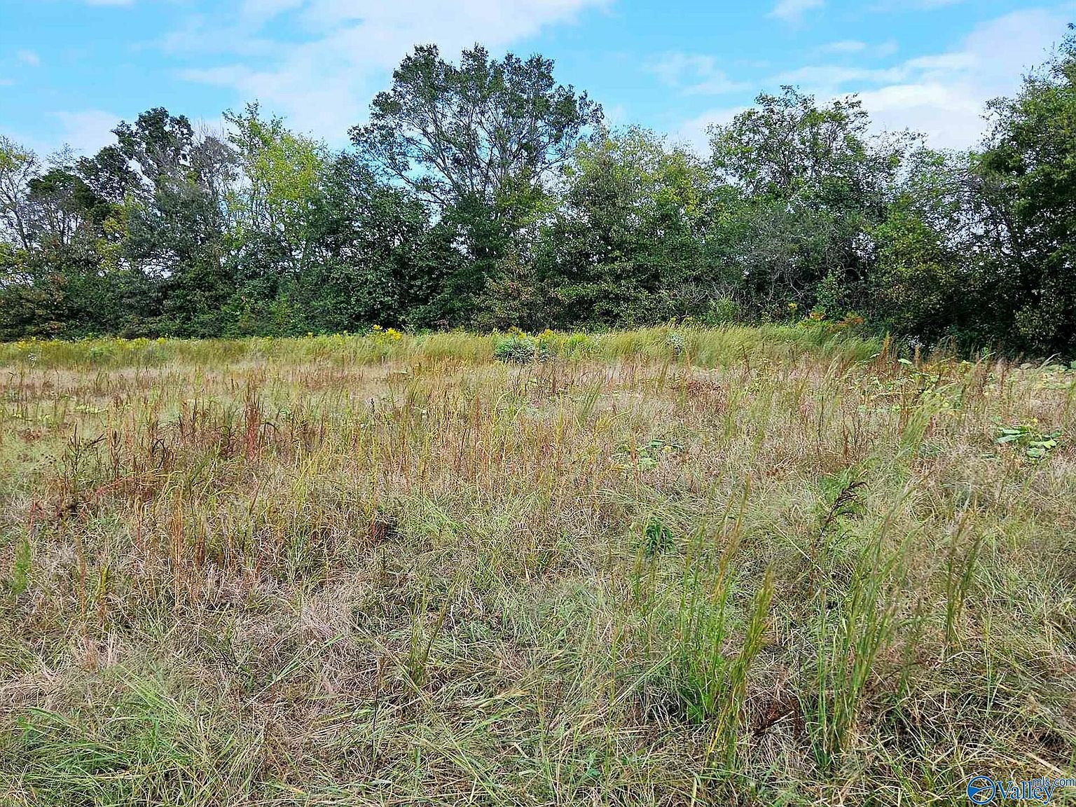 2658 Gordon Terry Pkwy, Decatur, AL 35603 | MLS #21857219 | Zillow