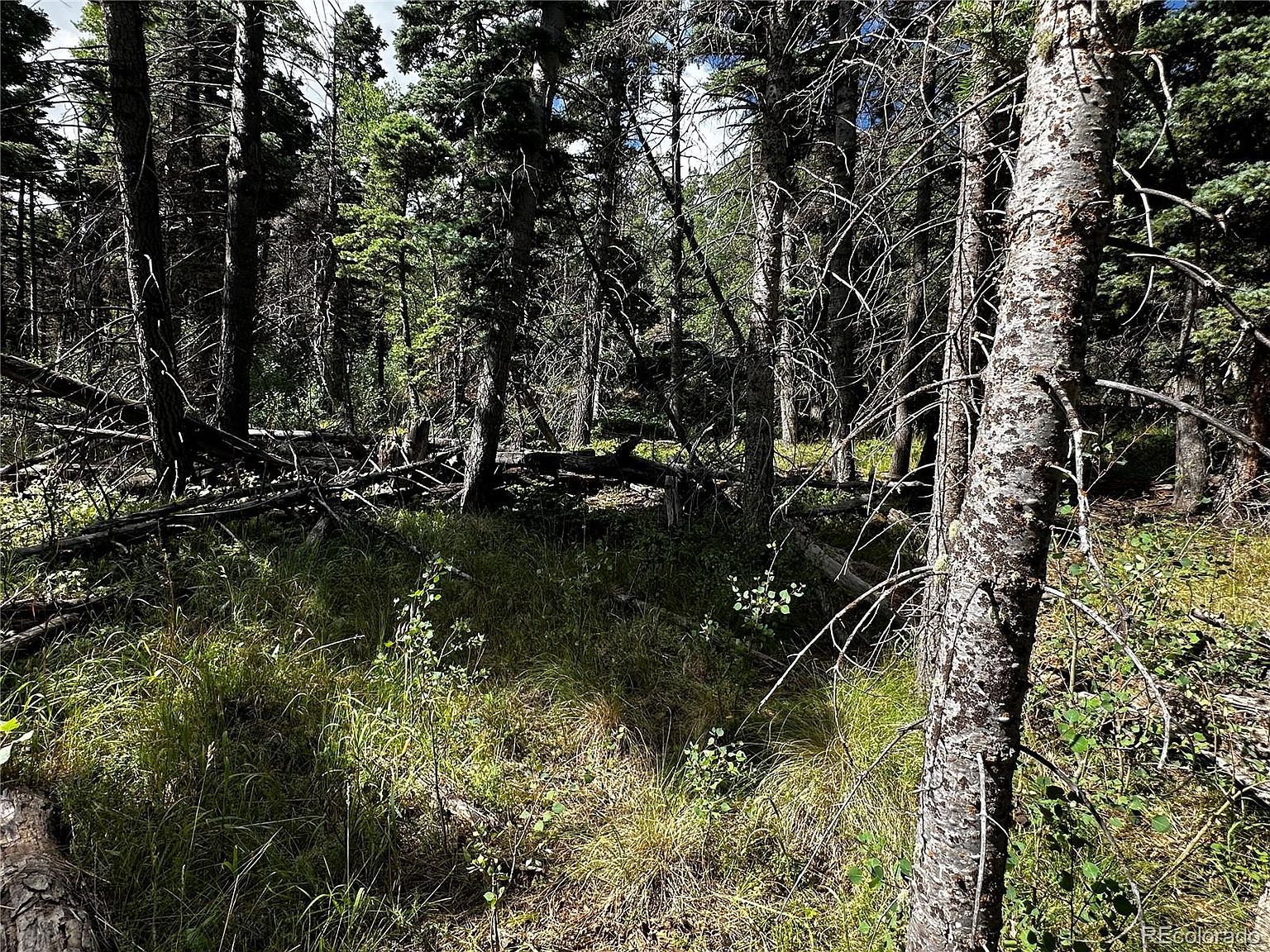 2385 Larry Place LOT 2385, Fort Garland, CO 81133 | MLS #7269890 | Zillow