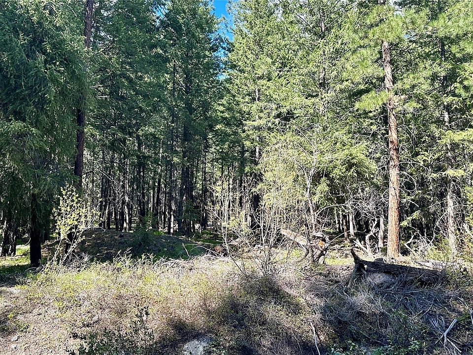 526 A Lost River Road, Mazama, WA 98833 | MLS #2273559 | Zillow