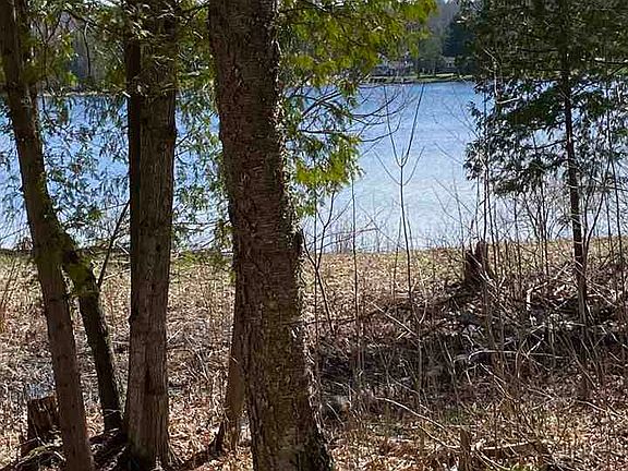 0 Benway Ln, Central Lake, MI 49622 | MLS #473948 | Zillow