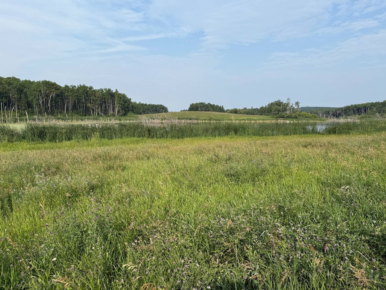 3738 Bia Rd #8, Belcourt, ND 58316 | MLS #11550772 | Zillow