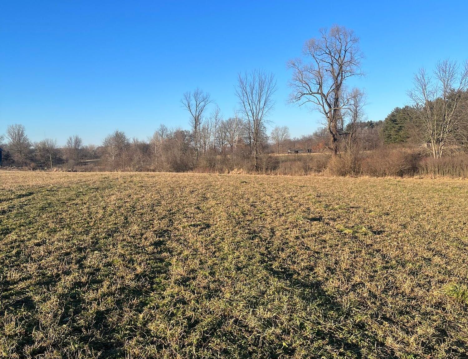 0 Maple Lane Rd, Rives Junction, MI 49277 | Zillow