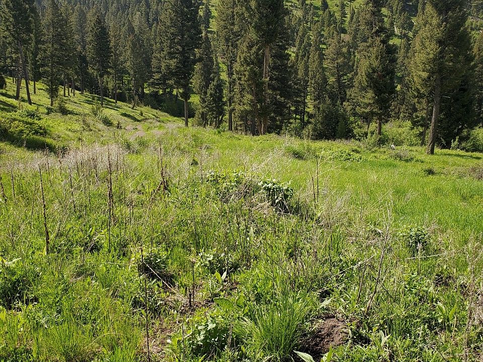 6958 Brock Creek Rd, Garrison, MT 59731 | MLS #22208812 | Zillow