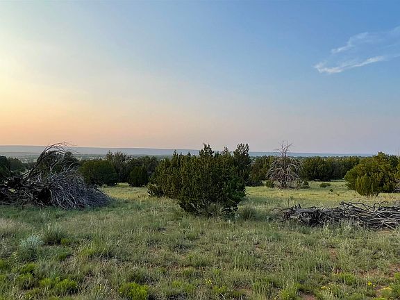 44 Pintada Rd, Santa Rosa, NM 88435 | MLS #202103479 | Zillow
