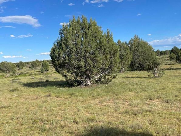 Westwood Ranches - Seligman AZ Real Estate - 1 Homes For Sale | Zillow