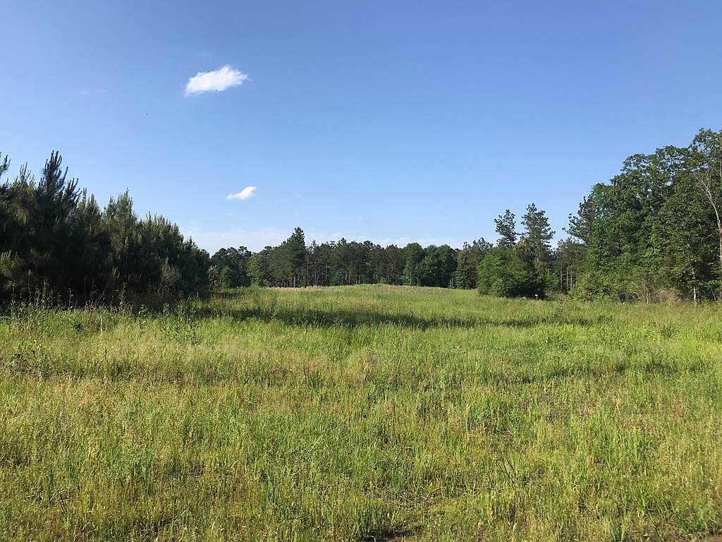 402 Timber Ranch Rd, Apple Springs, TX 75926 | Zillow