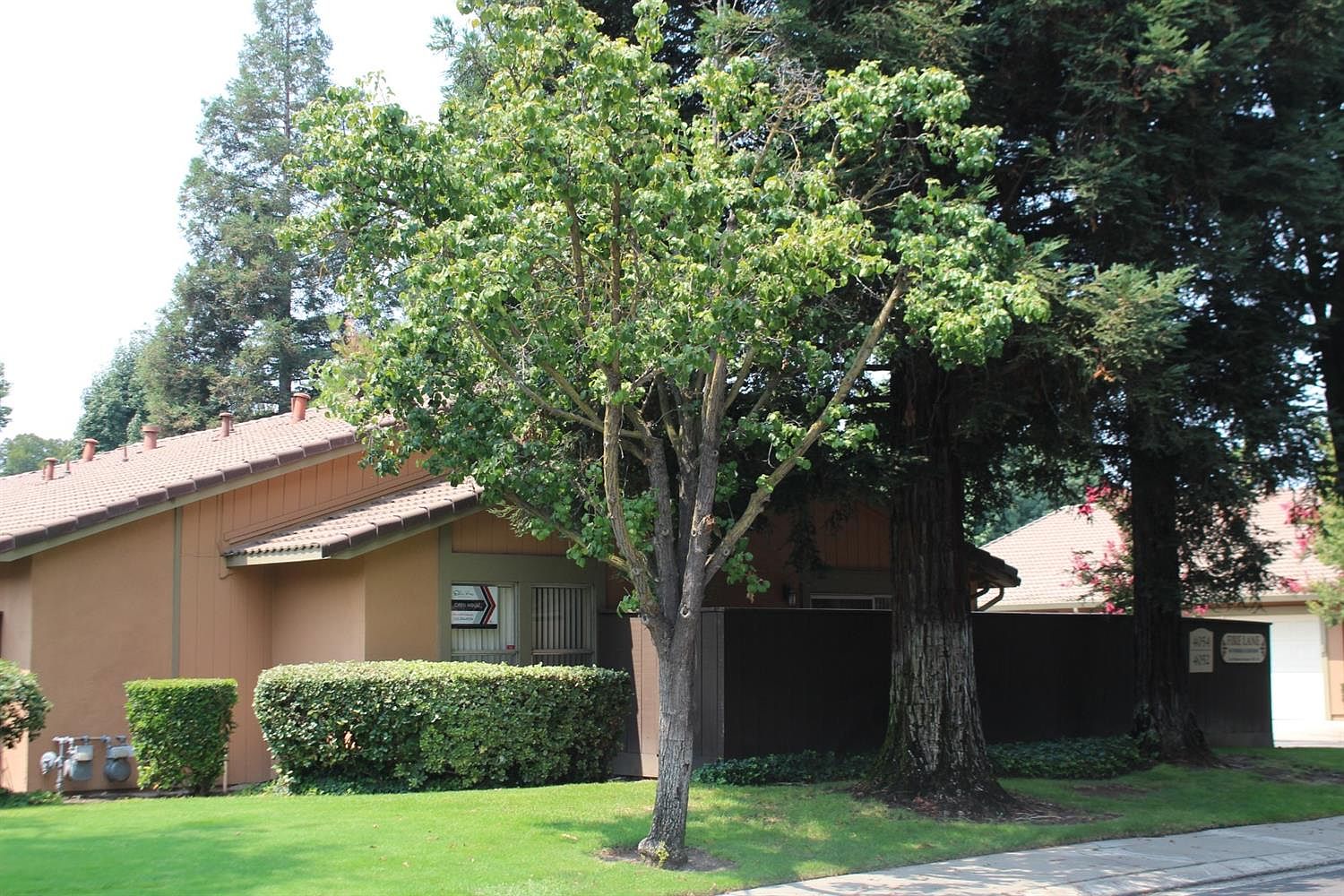 4052 Elmo Loop, Modesto, CA 95356 | Zillow