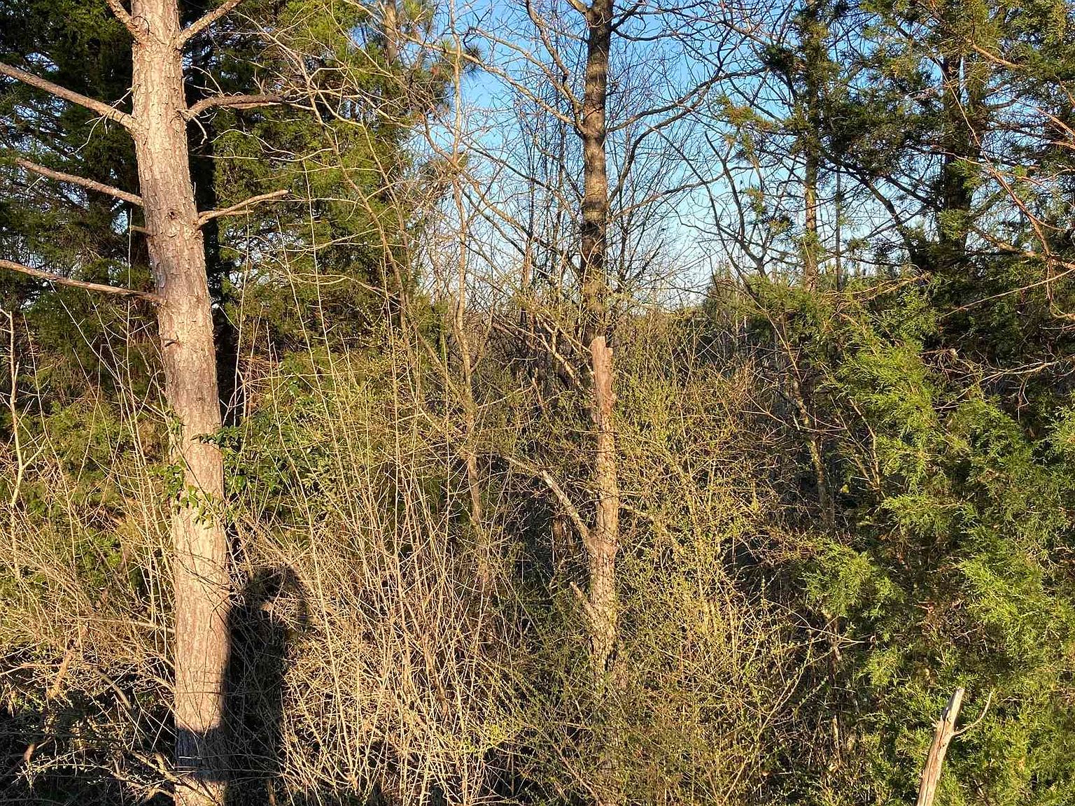 0 State Highway 275 #3.77, Talladega, AL 35160 | MLS #1313771 | Zillow