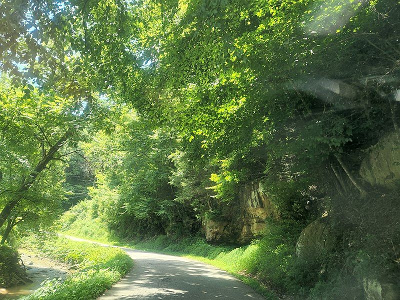 0 Upper Sycamore Rd, Indore, WV 25111 | Zillow