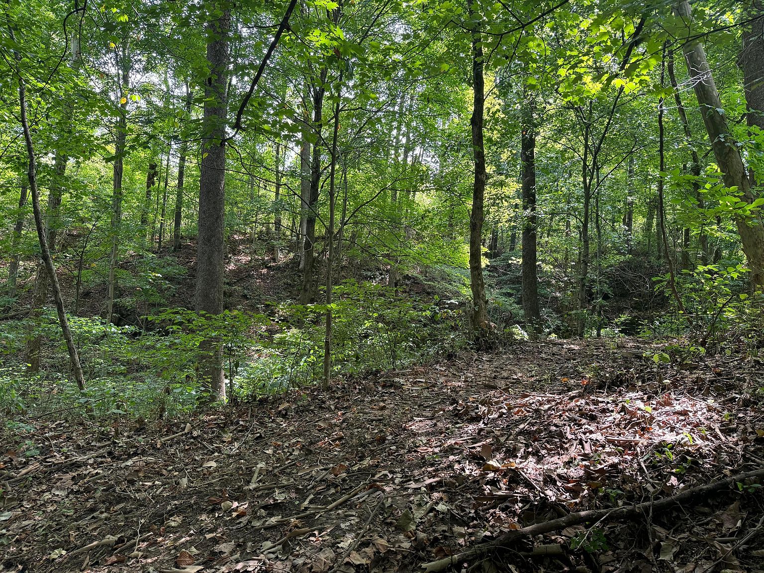 34865 Highway 681, Albany, OH 45710 | Zillow