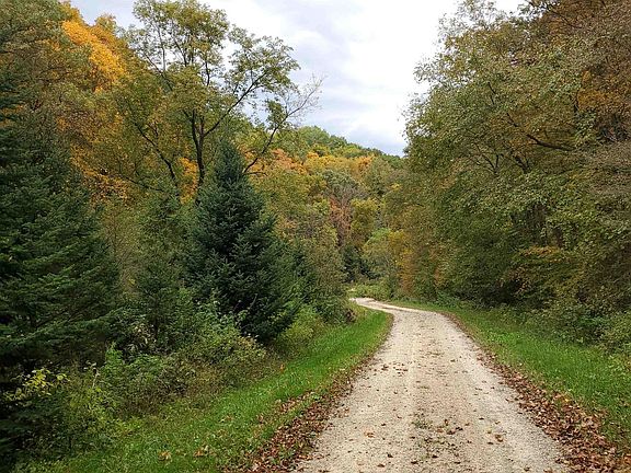 12954 Canyon Falls Road West Road, Mount Hope, WI 53816 | MLS #1973912 ...