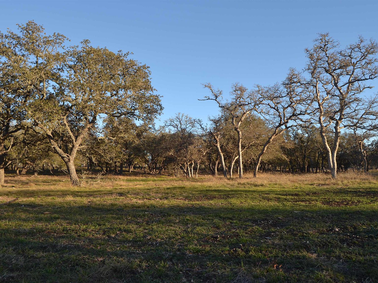 312 Scott Branch Road, Harper, TX 78631 | MLS #167674 | Zillow