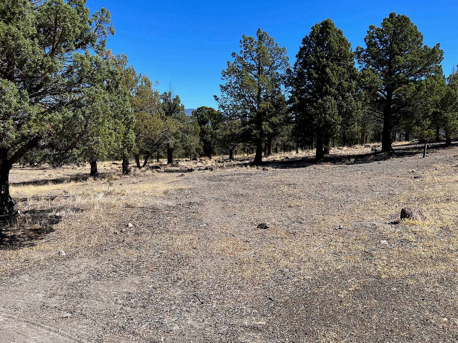 Unit 1 Brook Ln LOT 35, Weed, CA 96094 | Zillow