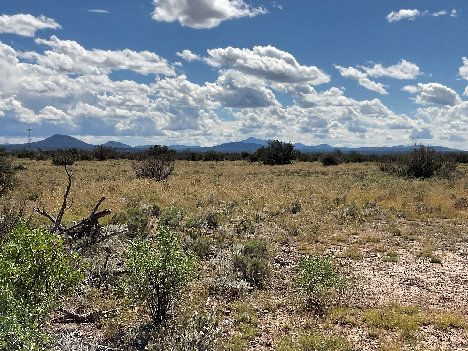 2684 Critter Pass, Williams, AZ 86046 | Zillow