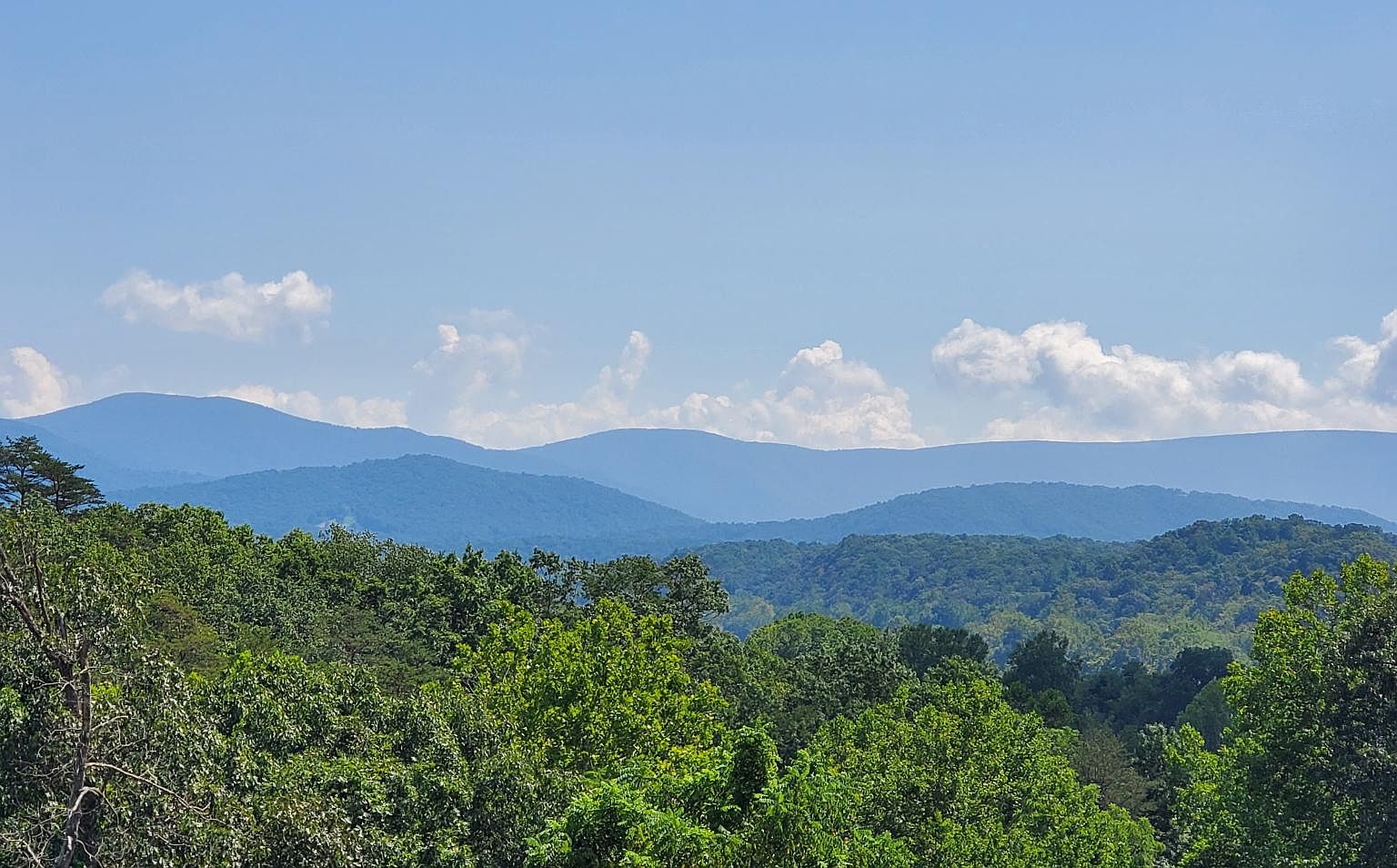 LOT 13 Panhandle Rd, Front Royal, VA 22630 | Zillow