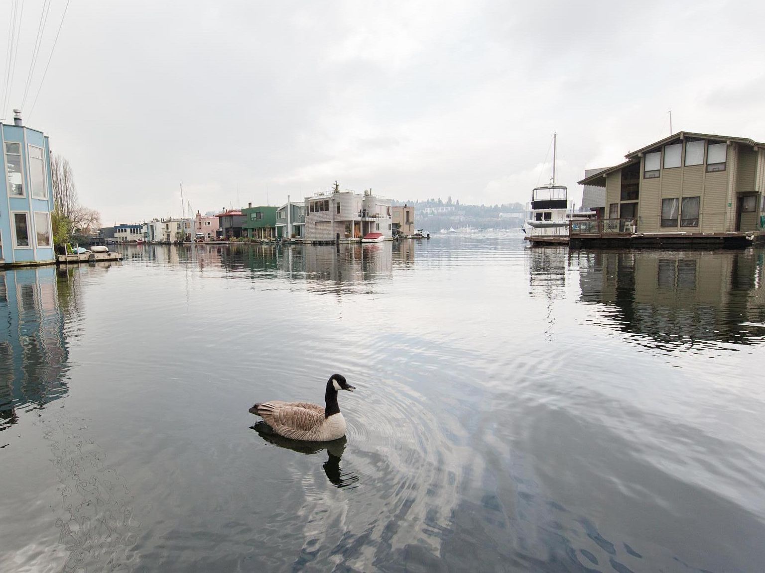 100 E Edgar St, Seattle, WA 98102 | Zillow