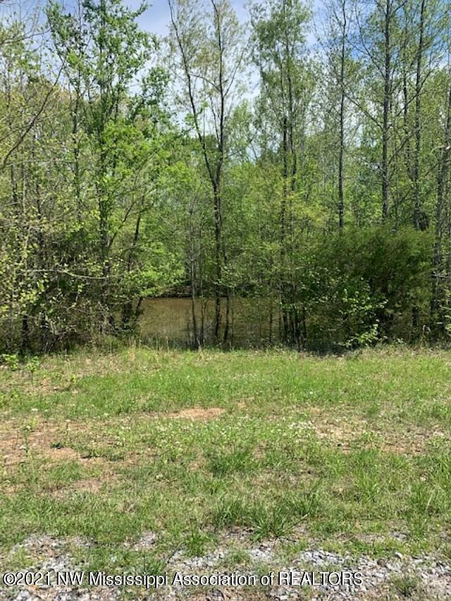 5170 Dixie Creek Dr, Hernando, MS 38632 | Zillow