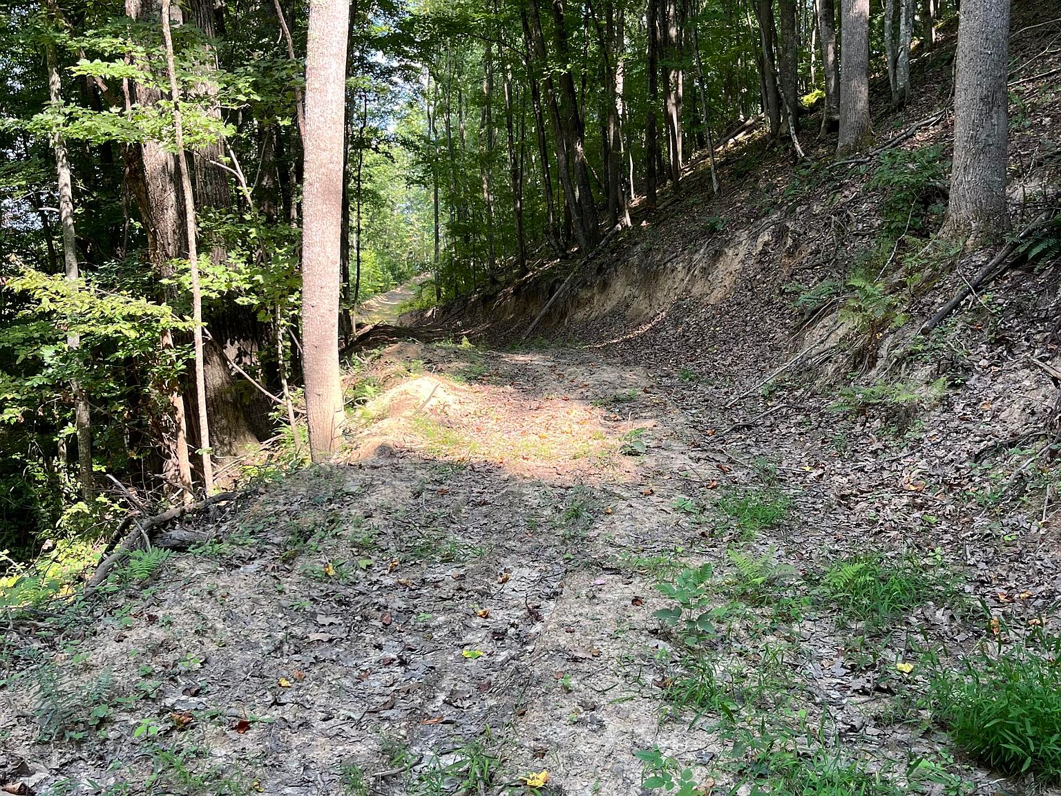 LOT 3 Ellison Ridge Rd, Jumping Branch, WV 25969 | Zillow