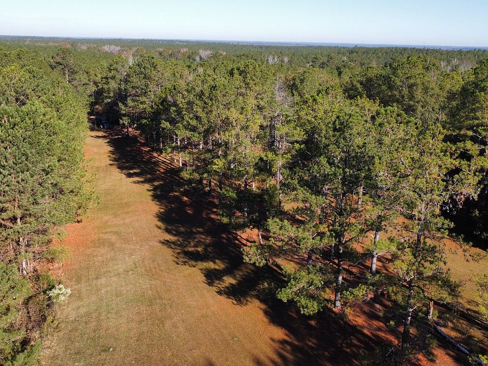 County Road 12, Pittsview, AL 36871 | Zillow