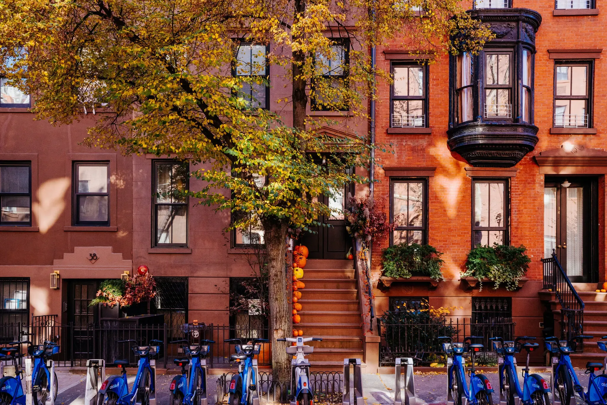 75 Pierrepont Street #L1 in Brooklyn Heights, Brooklyn | StreetEasy