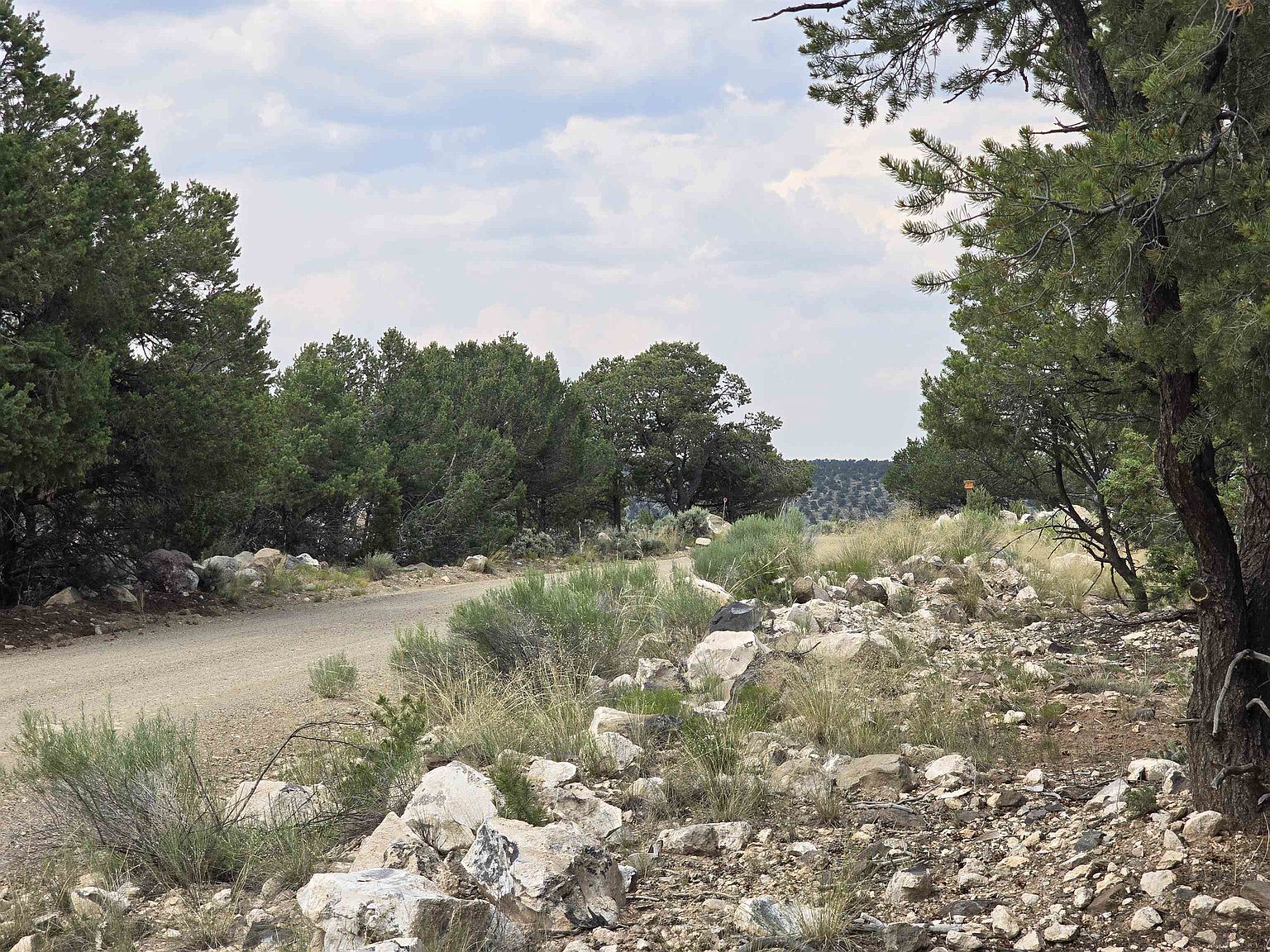 Lobo Ranch Rd, Arroyo Hondo, NM 87513 | MLS #113737 | Zillow