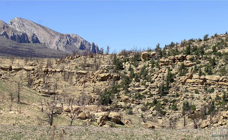 Nhn Ruby Creek Rd, Belfry, MT 59008 | MLS #333504 | Zillow