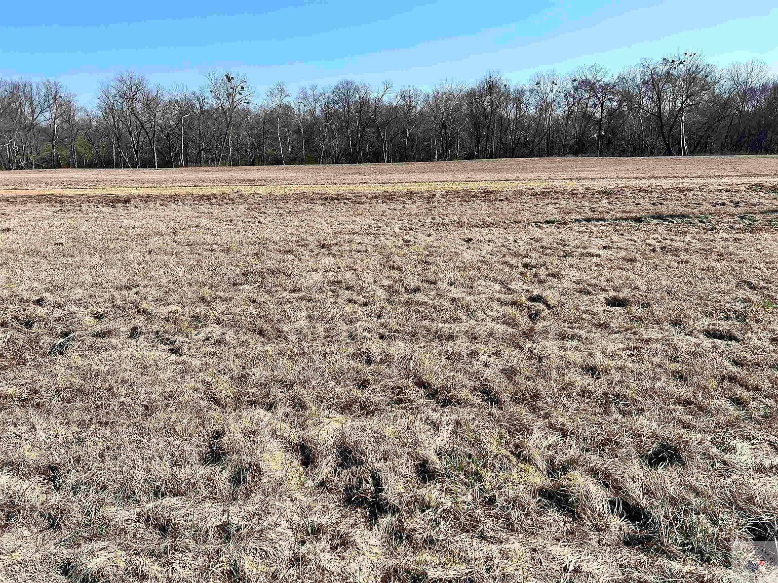 4 Brian Dr, Langley, AR 71952 | Zillow