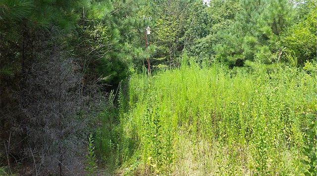 1037 Jim Daws Rd, Monroe, GA 30656 | Zillow