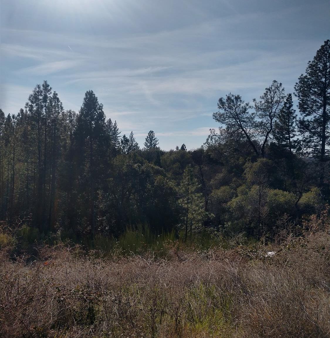 0 Sliger Mine Rd, Greenwood, CA 95635 | Zillow