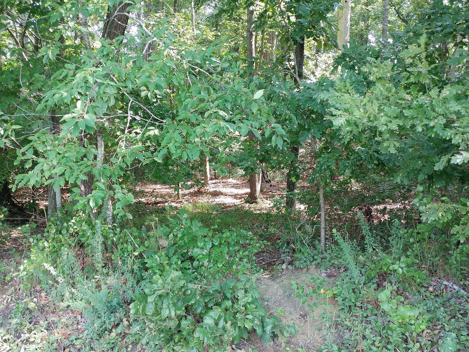 0 E Basket Switch Rd, Snow Hill, MD 21863 | Zillow