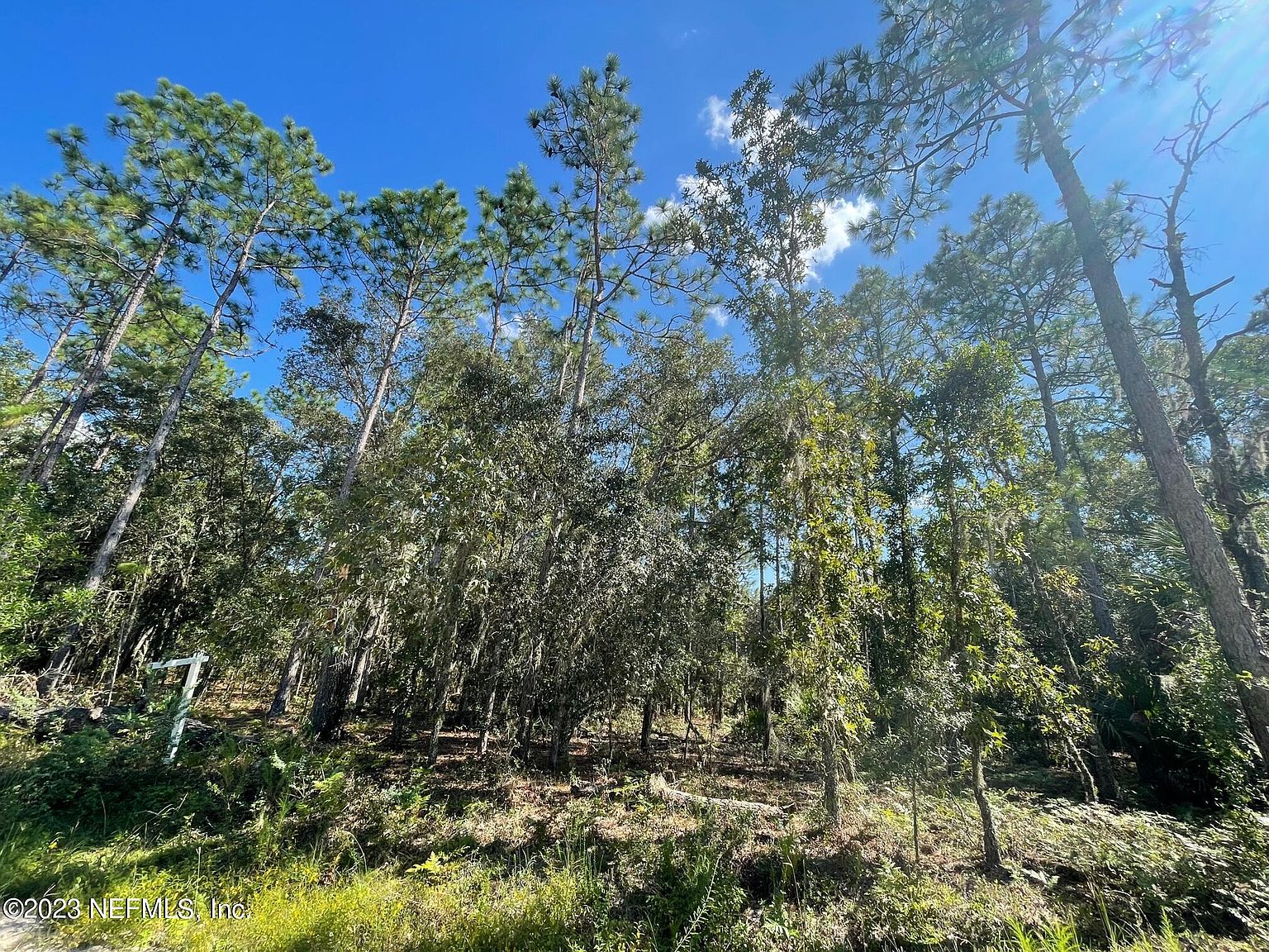 131 SPRING LAKE Drive, Interlachen, FL 32148 | MLS #1246954 | Zillow