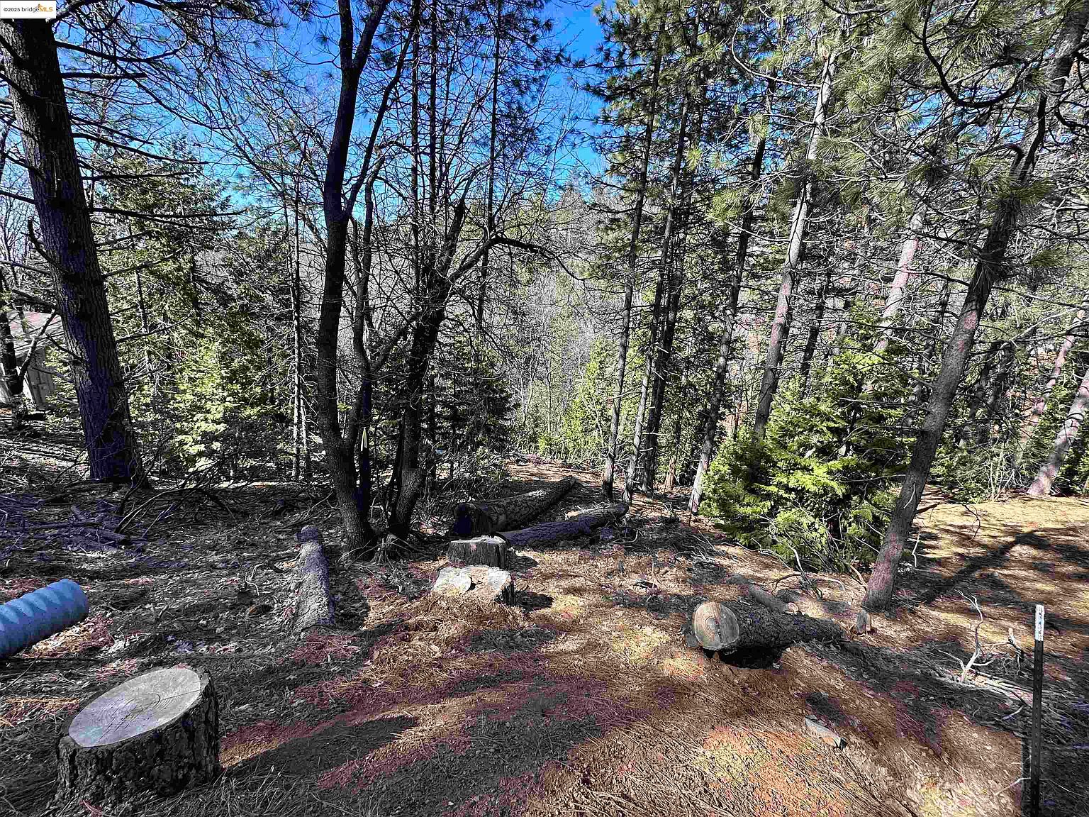 23956 Stable Rd, Sonora, CA 95370 | MLS #41084161 | Zillow