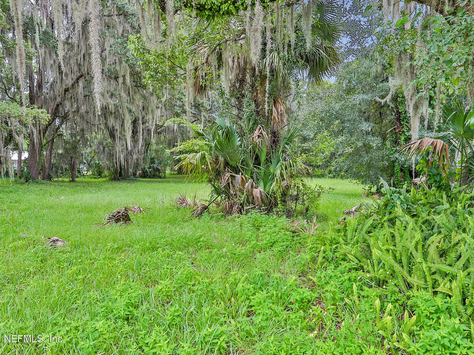 2003 ELM Street, Welaka, FL 32193 | Zillow