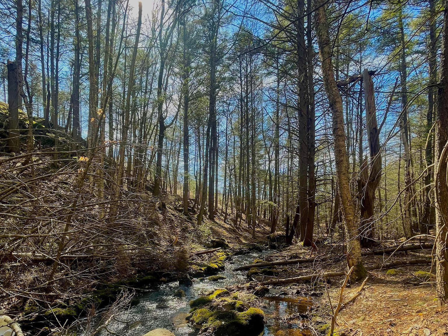 #7E Sandy Brook Road, Bath, ME 04530 | Zillow